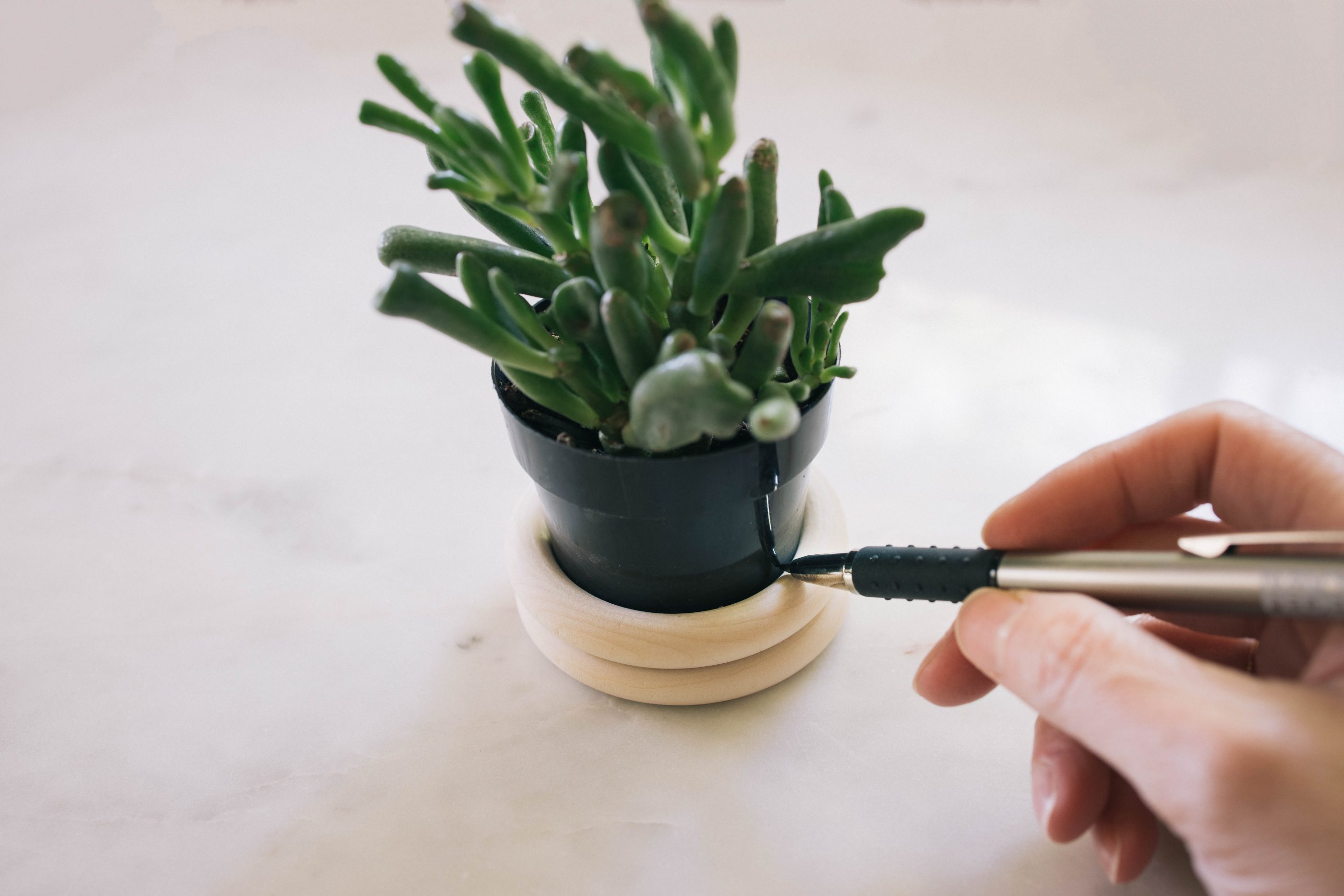 DIY Stacked Planters Are Perfect WFH Desk Accessories - SemiStories