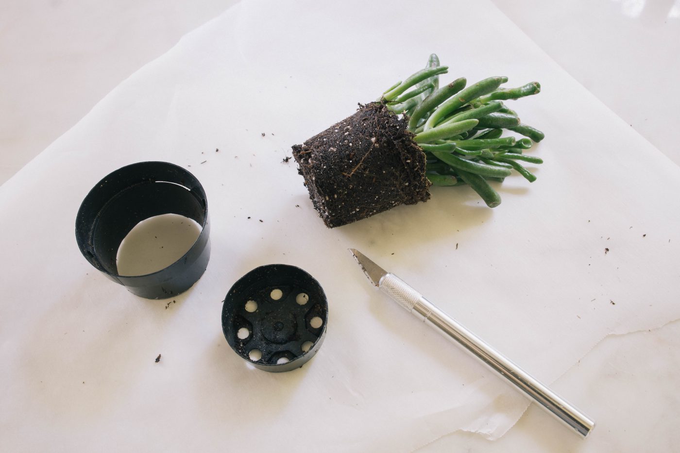 DIY Stacked Planters Are Perfect WFH Desk Accessories - SemiStories