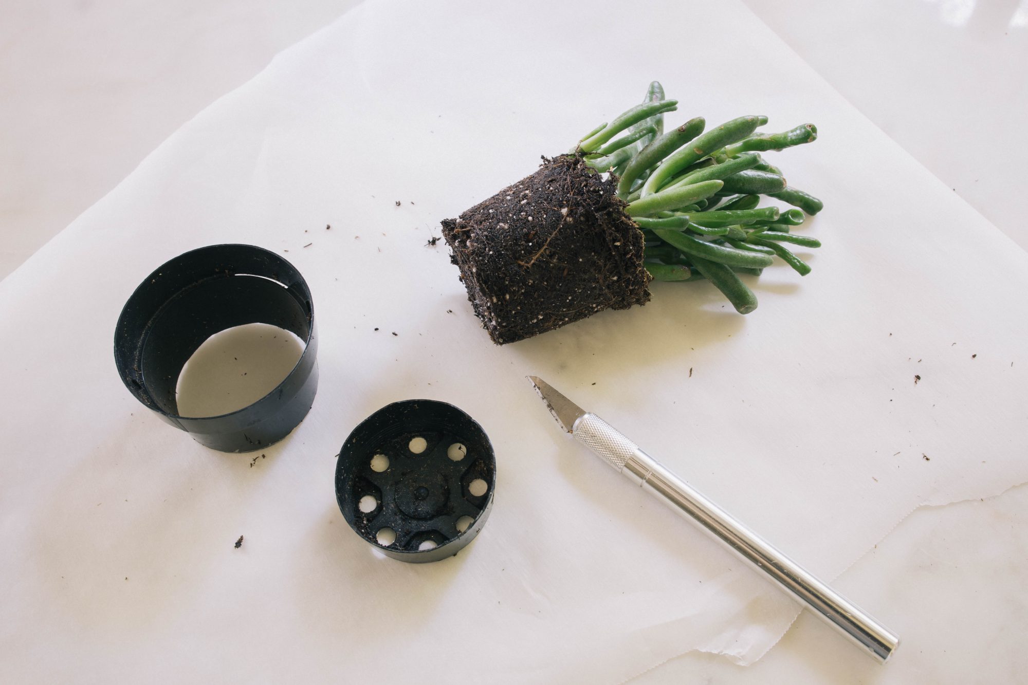 DIY Stacked Planters Are Perfect WFH Desk Accessories - SemiStories