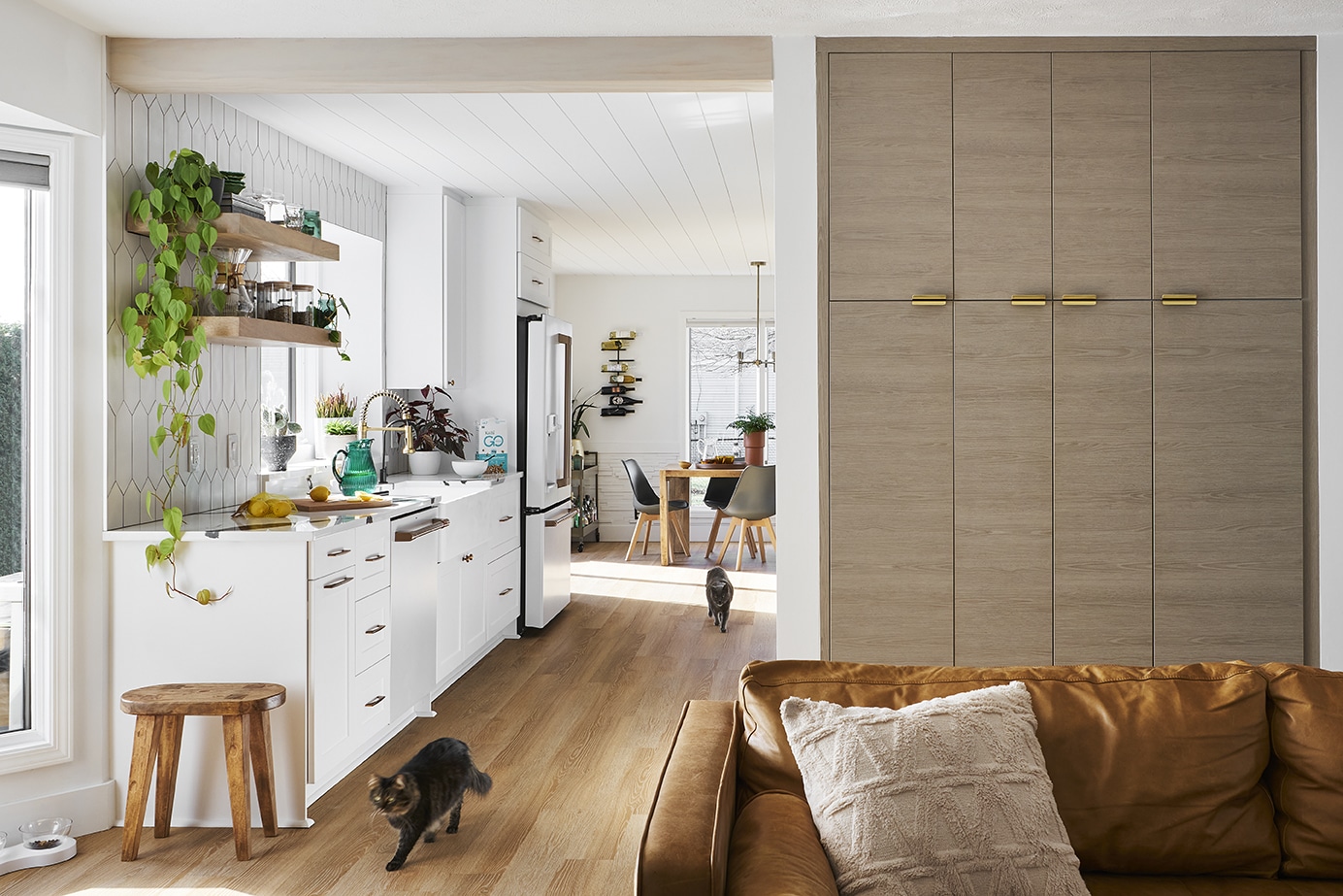 The Best of BOXI Salt Shaker Kitchens