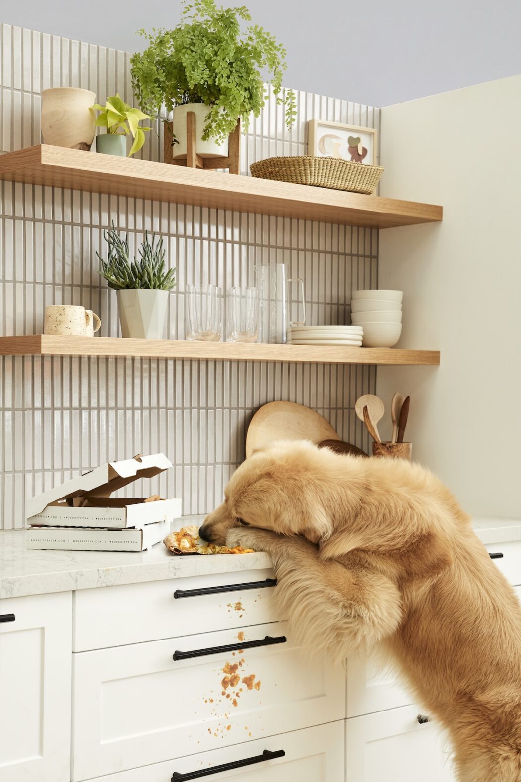 BOXI Kitchen Cabinets Are Made for Mess